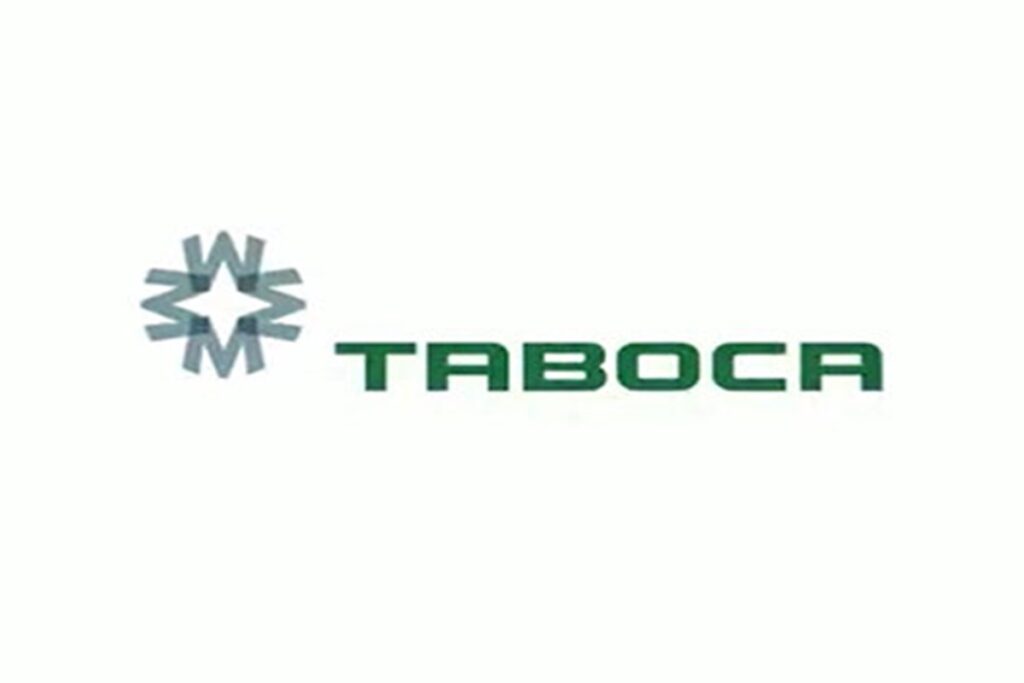 TABOCA: Indústria de PRODUÇÃO de estanho tem oportunidades no país, confira